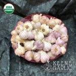 Keene Garlic - Shop Premium Garlic Now