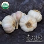 Rocambole Garlic Varieties - Keene Garlic