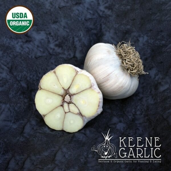 Browse dozens of hardneck and softneck garlic varieties. - Keene Garlic
