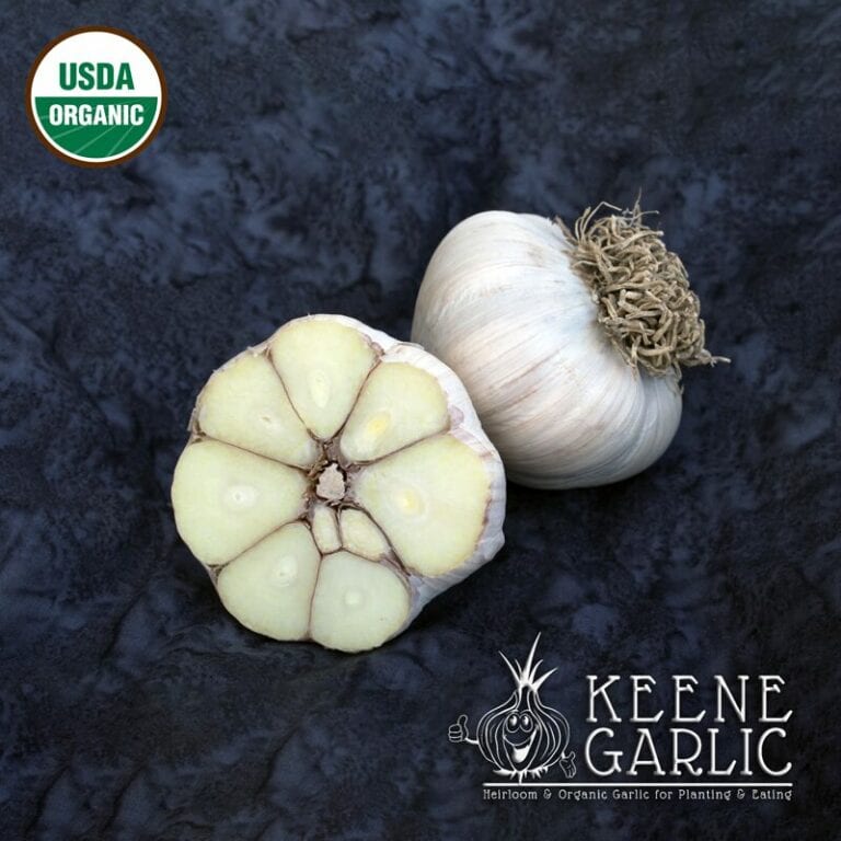 Browse dozens of hardneck and softneck garlic varieties. - Keene Garlic