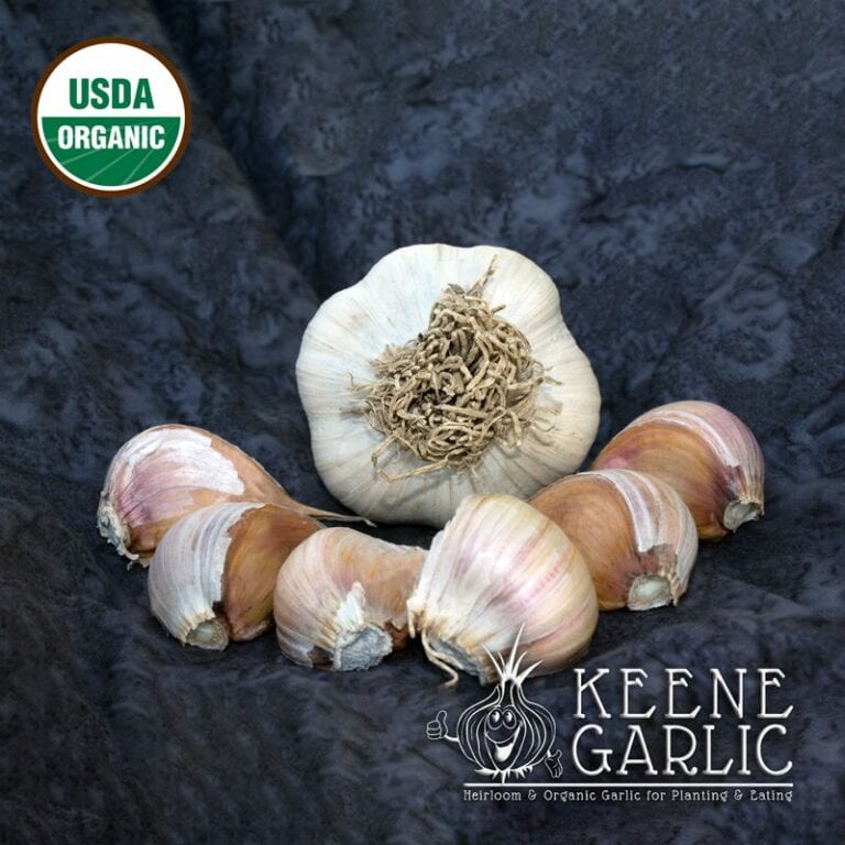 Browse dozens of hardneck and softneck garlic varieties. - Keene Garlic