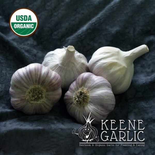 Browse dozens of hardneck and softneck garlic varieties. - Keene Garlic