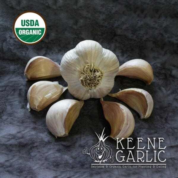 Browse dozens of hardneck and softneck garlic varieties. - Keene Garlic
