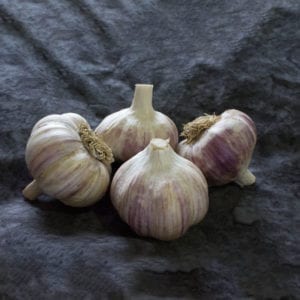 German Red Naturally Grown Garlic Bulbs - Keene Garlic