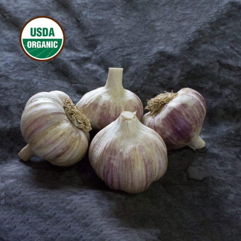 German Red Certified Organic Garlic - Keene Garlic