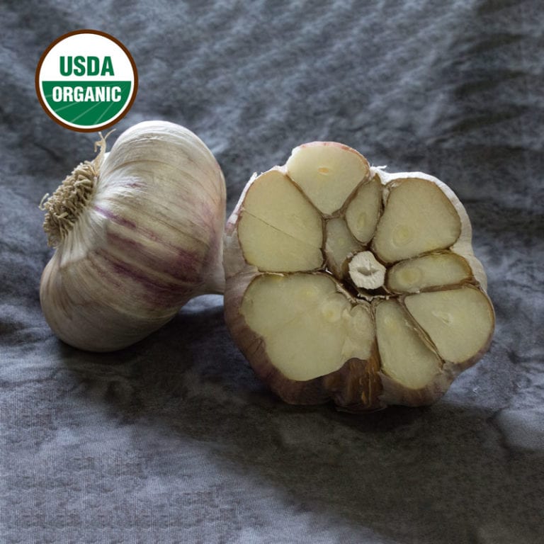 German Red Certified Organic Garlic - Keene Garlic