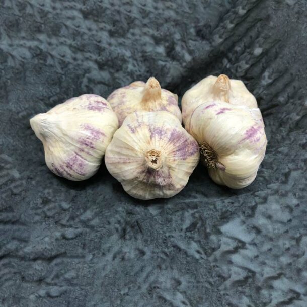 Softneck Garlic Bulbs - Keene Garlic