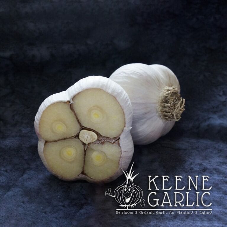 Zemo Naturally Grown Garlic Bulbs - Keene Organics