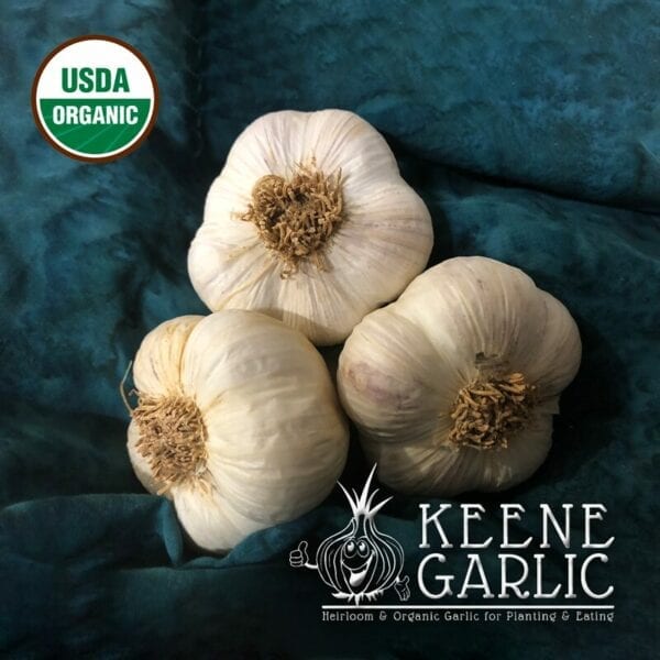 Browse dozens of hardneck and softneck garlic varieties. - Keene Garlic