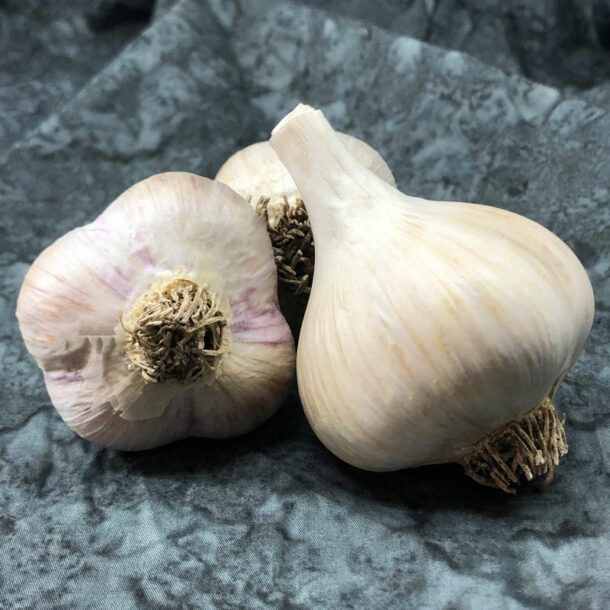 Northern White Certified Organic Garlic Bulbs - Keene Garlic