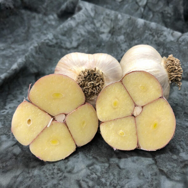 Keene Garlic - Shop Premium Garlic Now