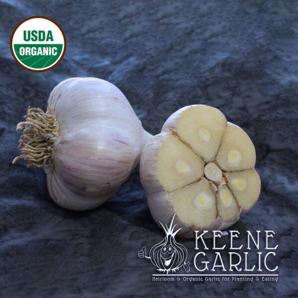 Browse dozens of hardneck and softneck garlic varieties. - Keene Garlic