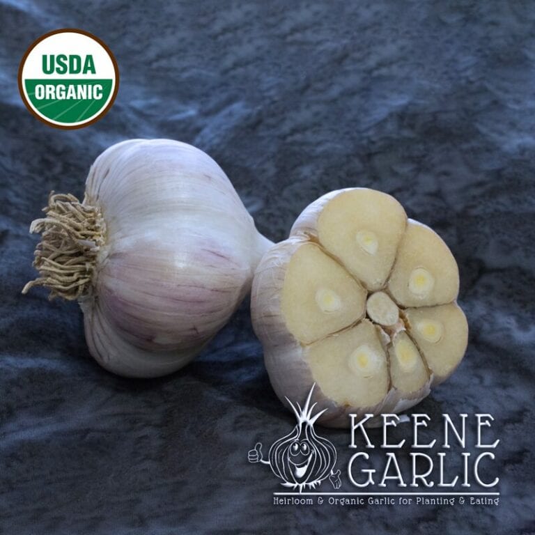 Browse dozens of hardneck and softneck garlic varieties. - Keene Garlic