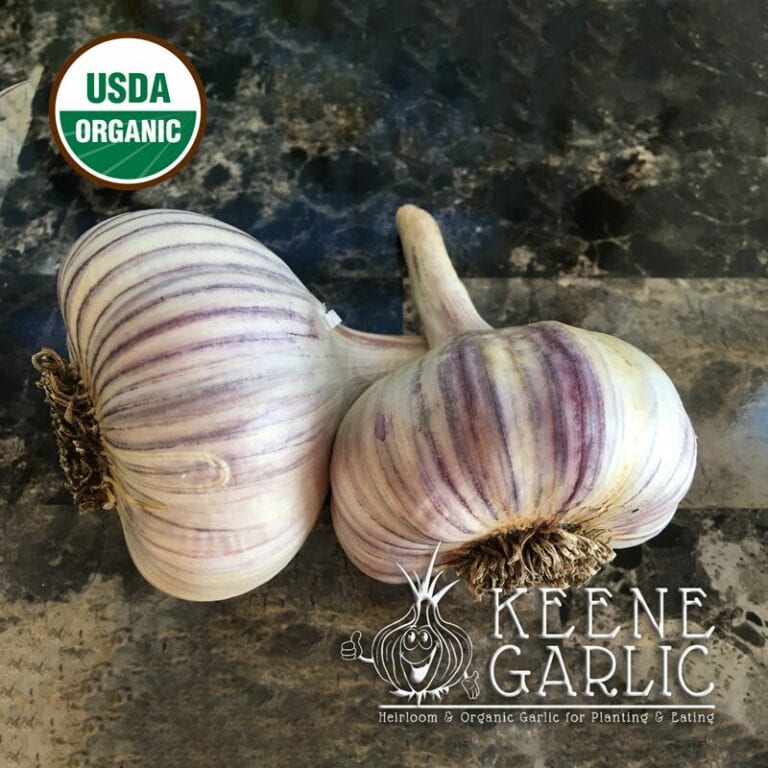 Browse dozens of hardneck and softneck garlic varieties. - Keene Garlic