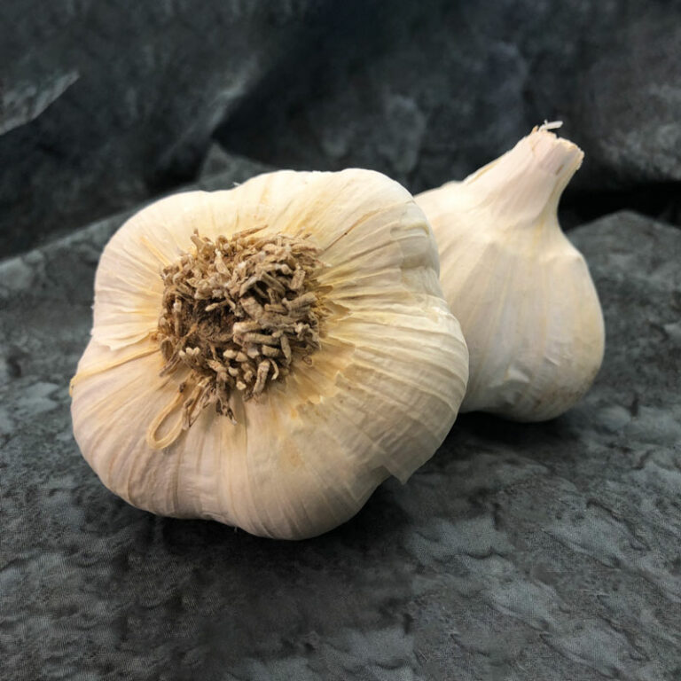 Porcelain Garlic Varieties - Keene Garlic