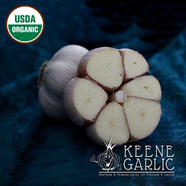 Browse dozens of hardneck and softneck garlic varieties. - Keene Garlic