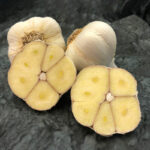 Romanian Red Certified Organic Garlic Bulbs - Keene Garlic