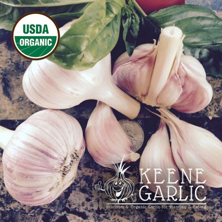 Browse dozens of hardneck and softneck garlic varieties. - Keene Garlic
