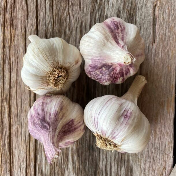 Blossom Naturally Grown Garlic Bulbs - Keene Garlic