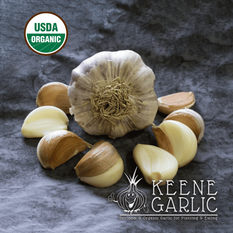 Rocambole Garlic Varieties - Keene Garlic
