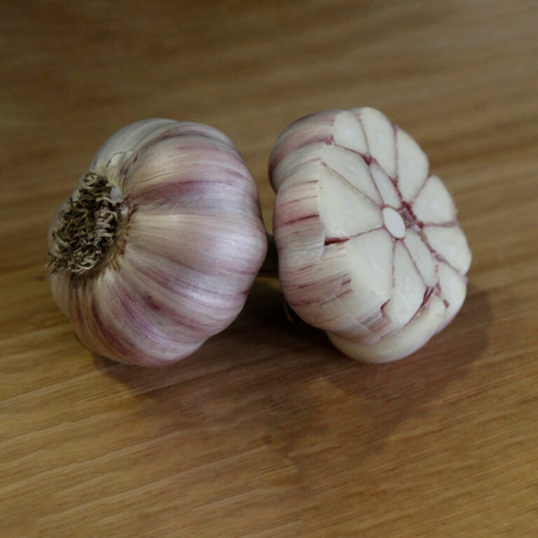 Purple Stripe Garlic Varieties - Keene Garlic