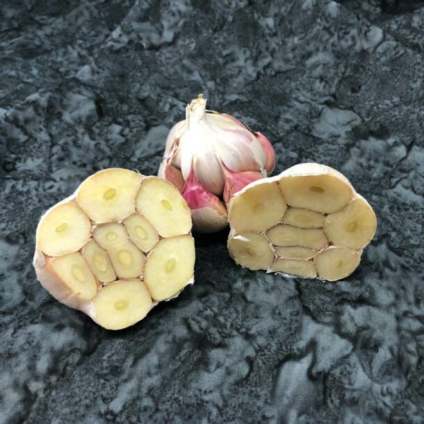 Silverwhite Garlic Bulbs - Keene Garlic