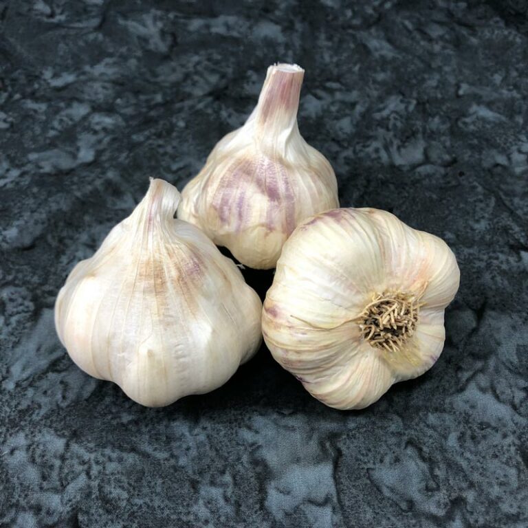 Softneck Garlic Bulbs - Keene Garlic