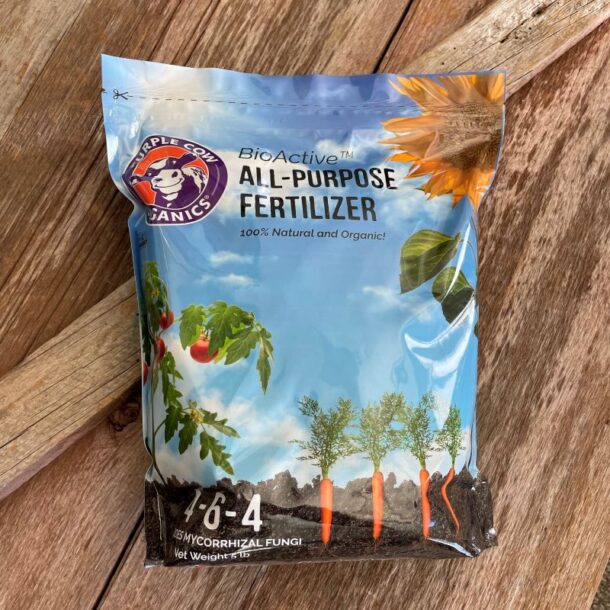 Inchelium Red Certified Organic Garlic Bulbs - Keene Garlic