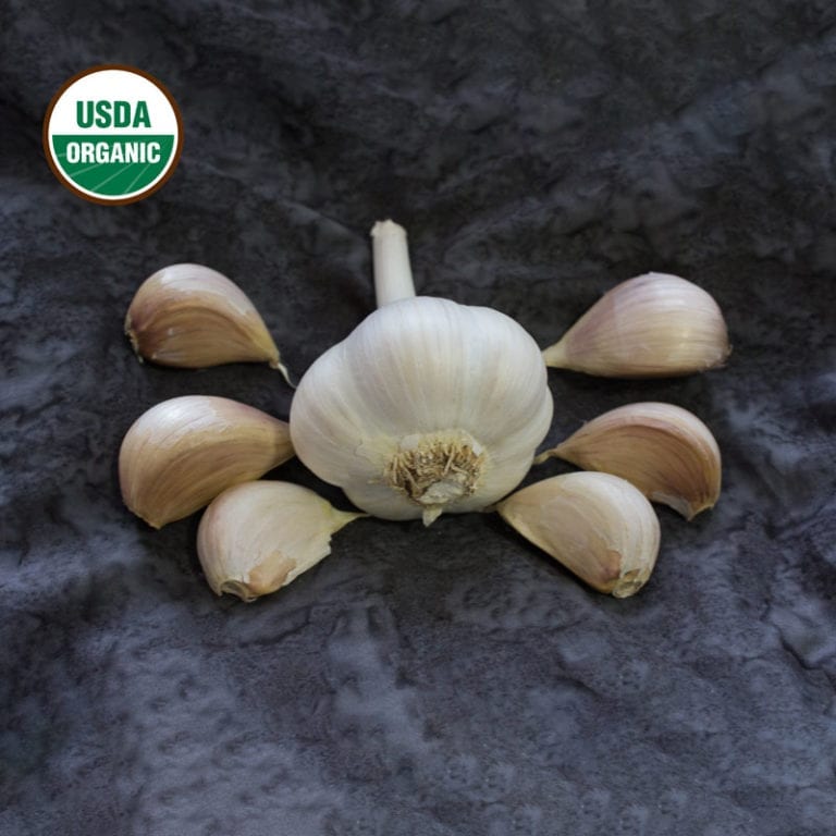 Certified Organic Garlic Bulbs for Fall Planting - Keene Garlic