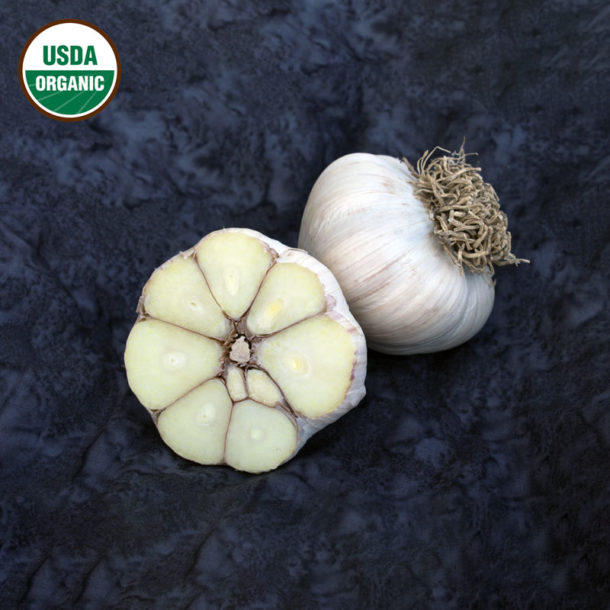 California White Certified Organic Garlic Bulbs - Keene Garlic