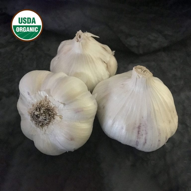 Softneck Garlic Bulbs - Keene Garlic