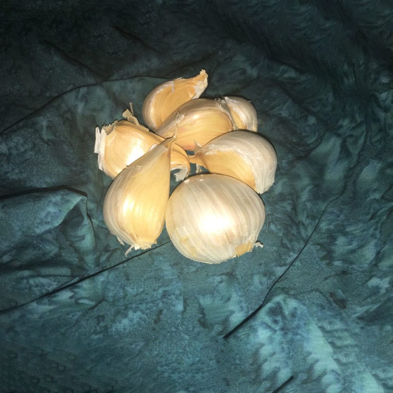 Elephant Garlic - Naturally Grown Garlic Cloves - Keene Garlic