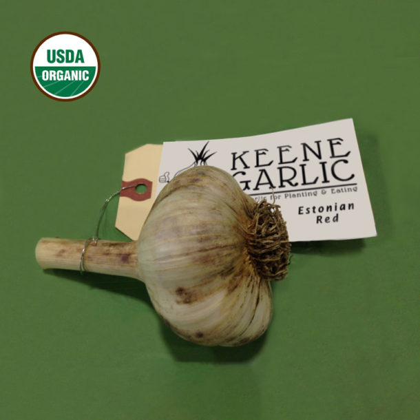 Purple Stripe Garlic Varieties - Keene Garlic