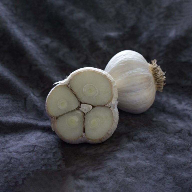 Georgian Crystal Naturally Grown Garlic Bulbs - Keene Garlic