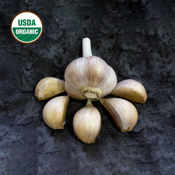 Inchelium Red Certified Organic Garlic Bulbs - Keene Garlic