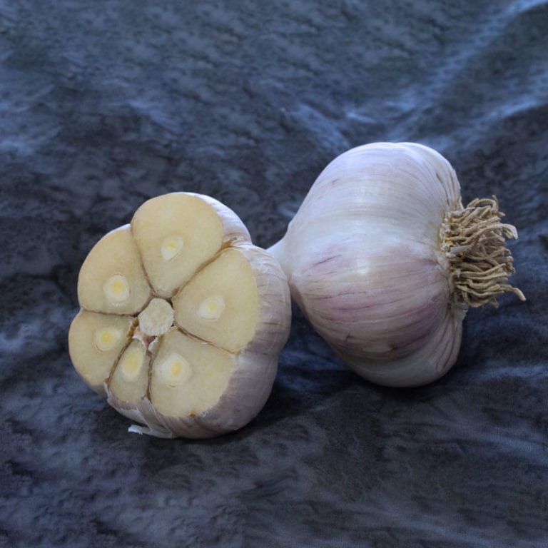 German Extra Hardy Garlic Bulbs - Keene Garlic - Most Popular Garlic