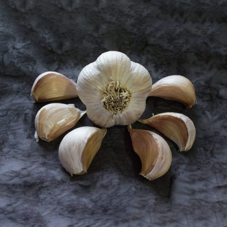 German Extra Hardy Garlic Bulbs - Keene Garlic - Most Popular Garlic