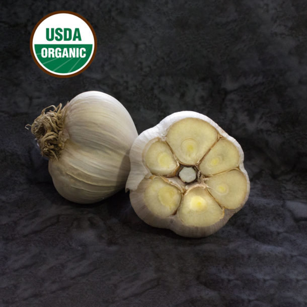 California White Certified Organic Garlic Bulbs - Keene Garlic