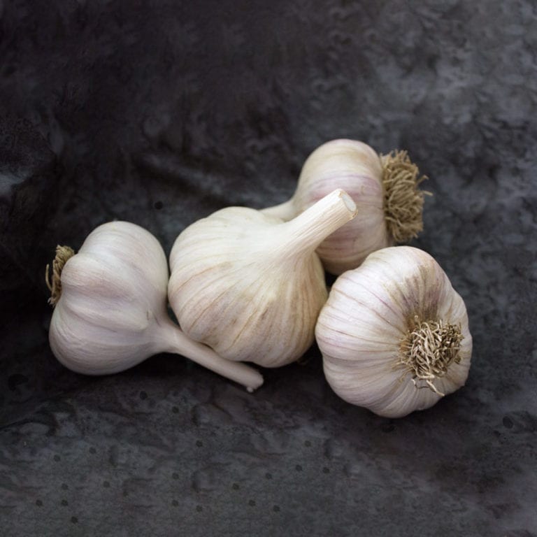 Metechi Certified Organic Garlic Bulbs - Keene Garlic
