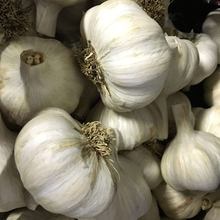 Metechi Certified Organic Garlic Bulbs - Keene Garlic