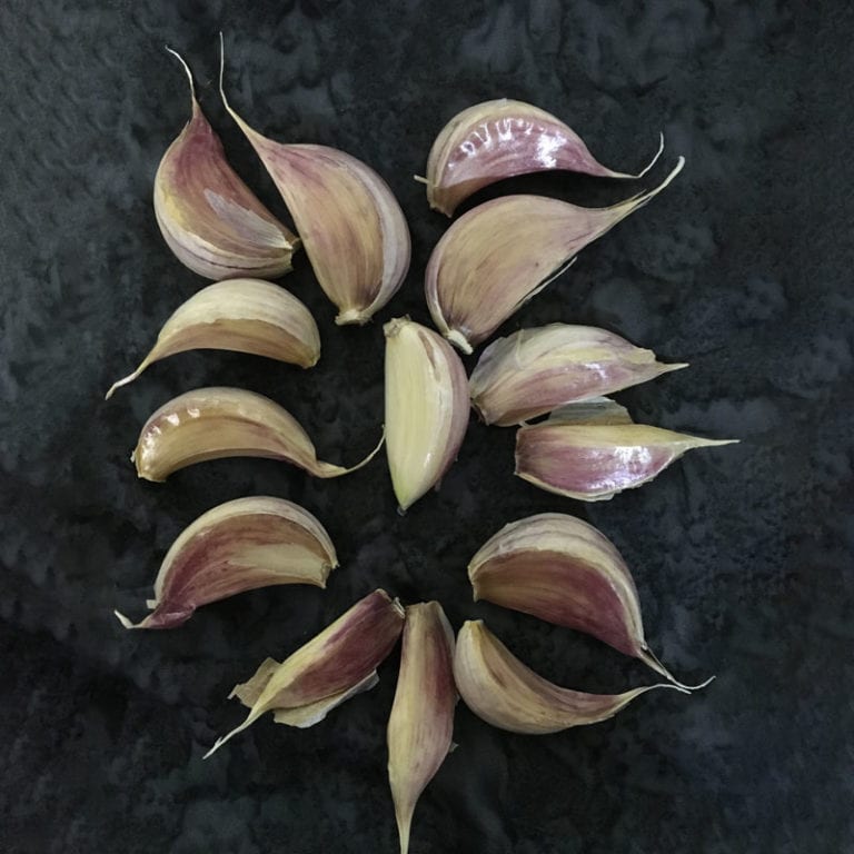 Persian Star Naturally Grown Garlic Bulbs - Keene Garlic