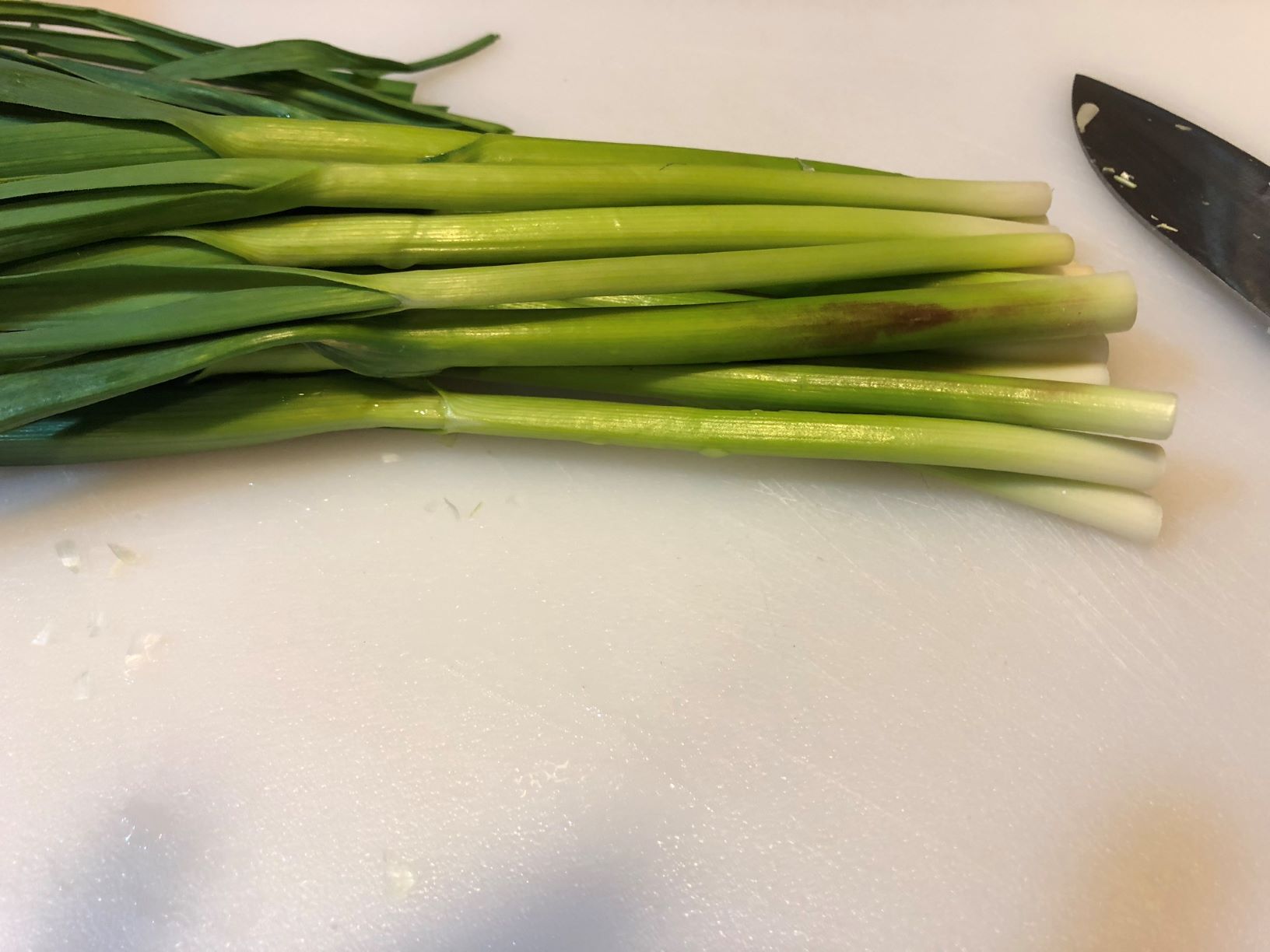 Green Spring Garlic - Keene Garlic