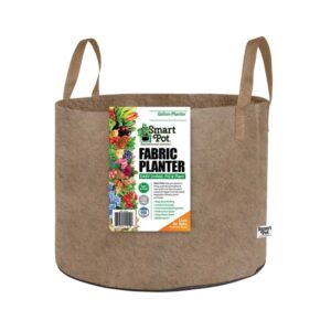 Smart Pots Fabric Planter - Keene Garlic