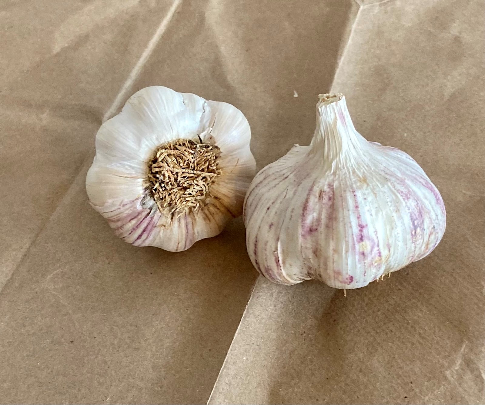 Rare Garlic Varieties this Season