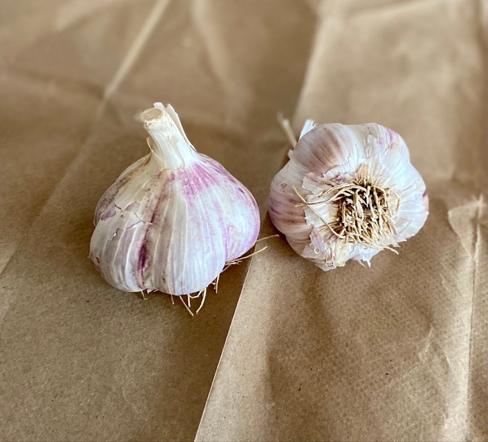 Rare Garlic Varieties this Season