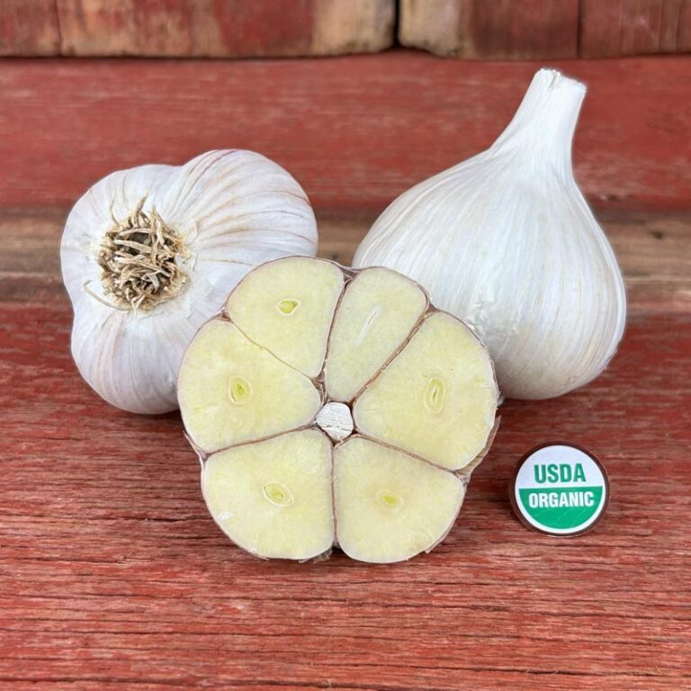 Zemo Certified Organic Garlic Bulbs - Keene Garlic