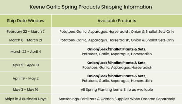 Makah Ozette Fingerling Seed Potato - Organic - Keene Garlic